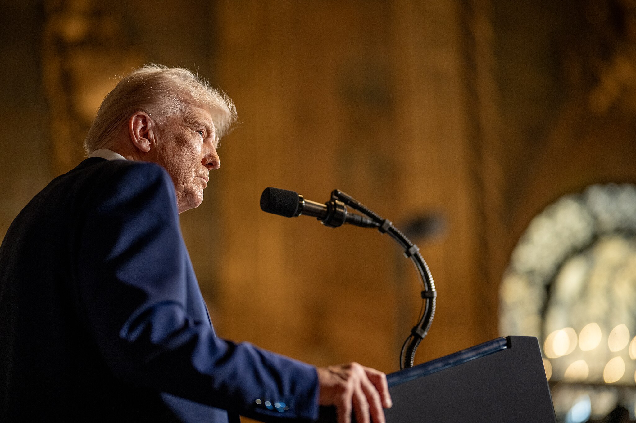 Do You Still Love Donald Trump? - Daily News Brew