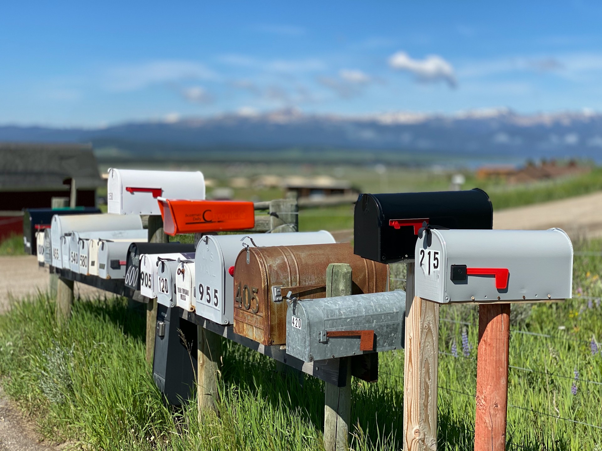 Trump Tells Americans To Check Their Mailboxes - Daily News Brew